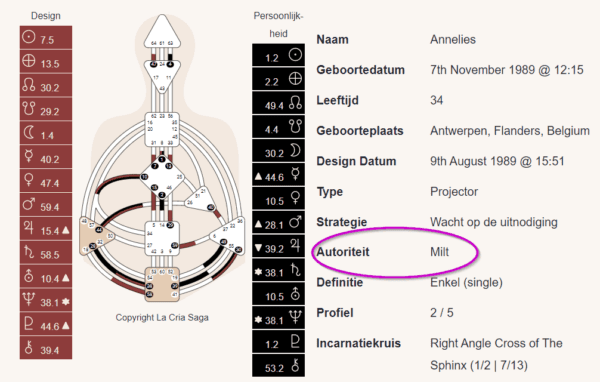 Een Human Design chart begrijpen - La Cria Saga